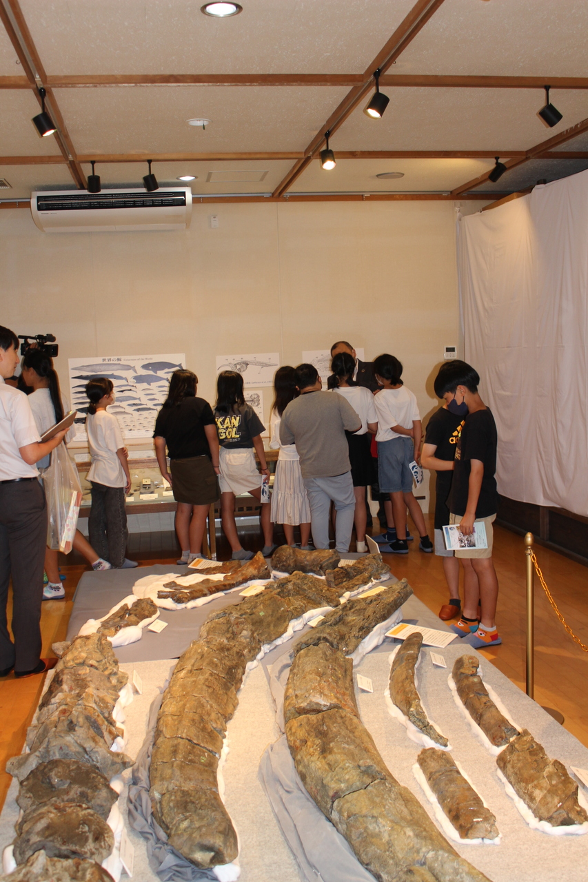太古の生物に大興奮 マムロガワクジラ展見学 真室川町公式ホームページ